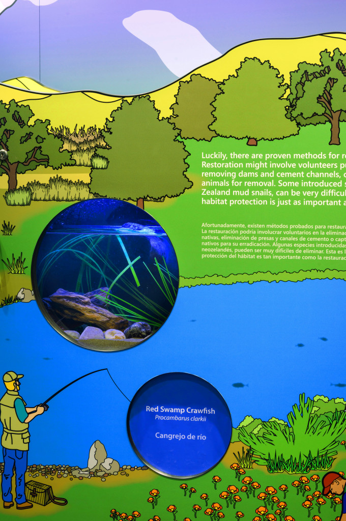 Heal the Bay – Chris Warnock